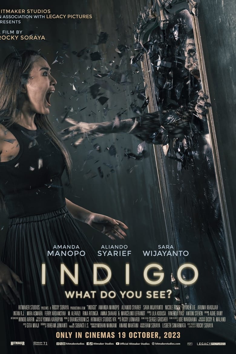 Indigo (2023) เธอเห็นอะไร (ซับไทย)